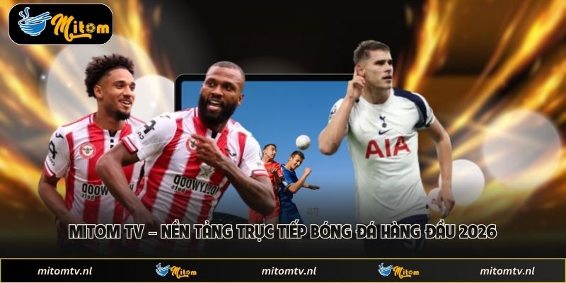 Mitom TV – Nền Tảng Trực Tiếp Bóng Đá Mitomtv Hàng Đầu 2026
